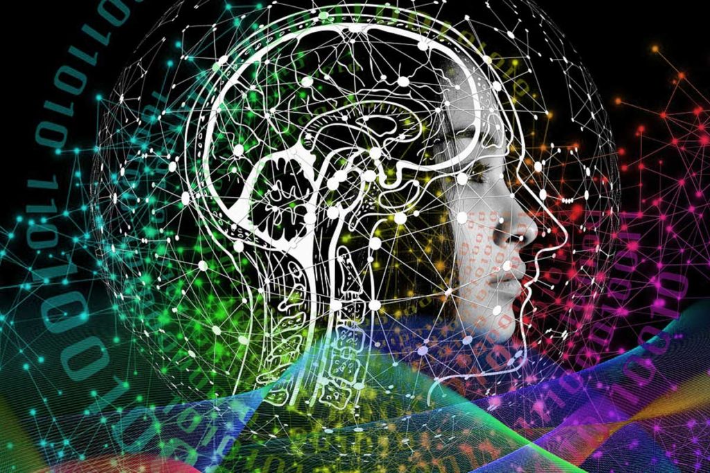 Aivot välttelevät turhaa työtä - Evermind